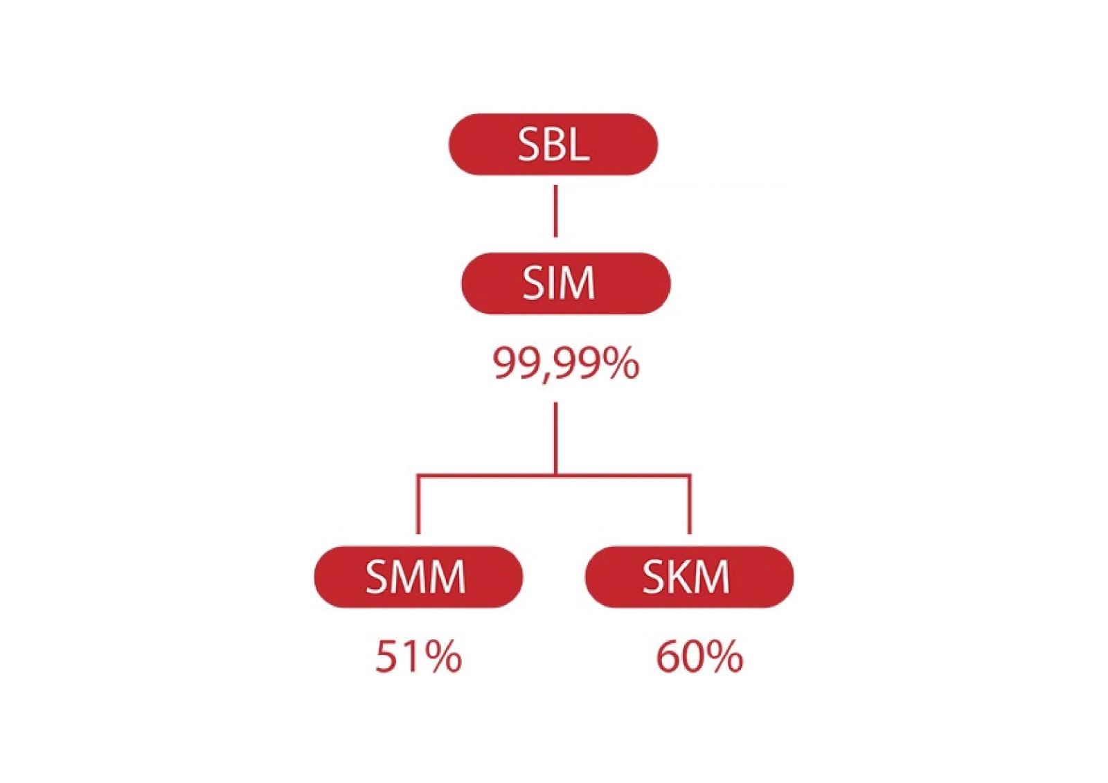 Company Group Structure