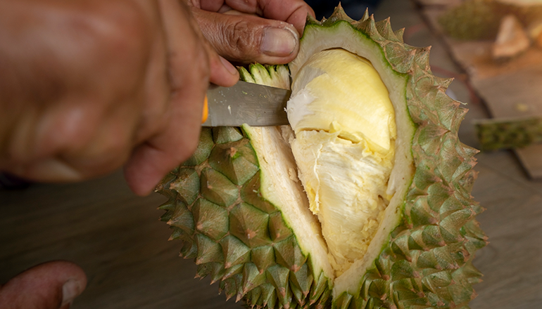 How To: Pick And Choose Your Durians